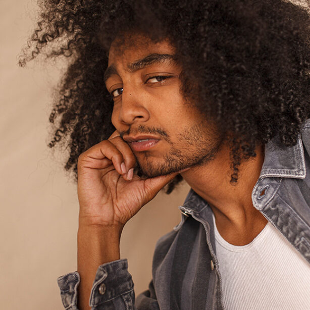 Songwriters Hall of Fame | Ray Davies